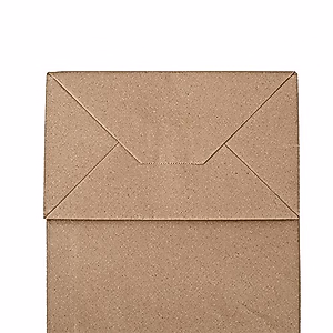 bagmad 100 Pack 8x4.75x10 inch Plain Medium Paper Bags with Handles Bulk, Brown Kraft Bags, Craft Gift Bags, Grocery Shopping Retail Bags, Birthday Party Favors Wedding Bags Sacks
