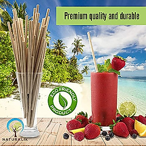 Naturalik 300/1000-Pack Extra Durable Brown Paper Straws Biodegradable- Premium Eco-Friendly Paper Straws Bulk- Drinking Straws for Juices, Restaurants and Party Supplies, 7.7" (Brown, 300ct)