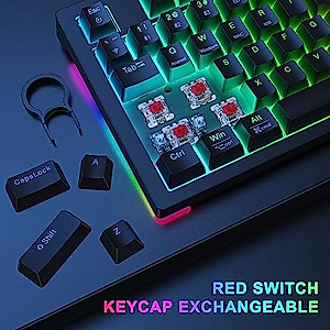 TECURS Wireless Gaming Keyboard, 80% TKL Mechanical Keyboard RGB Programmable Wired/2.4Ghz/Bluetooth Backlit Keyboard 87 Keys Compact Gamer Keyboard with Red Switch for Windows Mac PC Laptop