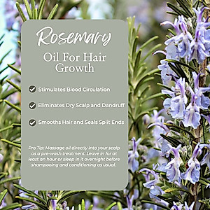 Baja Basics Organic Rosemary Oil: Hair Growth, Moisturizing for Split Ends & Dry Scalp, Hair Strengthening, All Hair Types, 2 oz