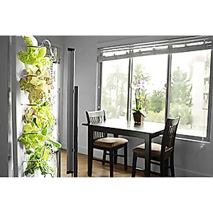 iHarvest Indoor Garden | Grow 30 Healthy Plants 30-50% Faster & Bigger in a Beautiful, Space Conscious Vertical Indoor Garden. No Chemicals or GMO's Needed.