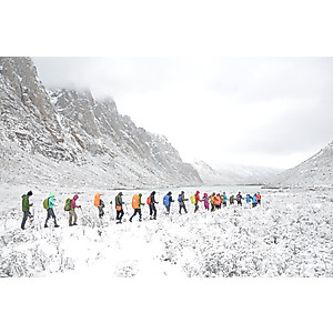 MBC Carbon Fiber Trekking Pole 4 Section Quick Lock System Ultralight Walking Sticks for Hiking Walking and Camping