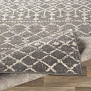 Artistic Weavers Elsie Area Rug, 7'10" x 10'3", Medium Gray, 7 ft (10 in) x 10 ft (3