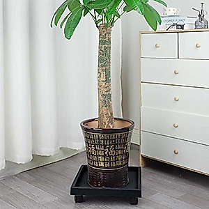 BAODAN Plant Caddy with Wheels, Plant Trolley, Plant Dolly Heavy Duty, Square Movable Plant Roller, Toughened Resin Plant Pallet Caster, 9.45x9.45x3.35in, Black