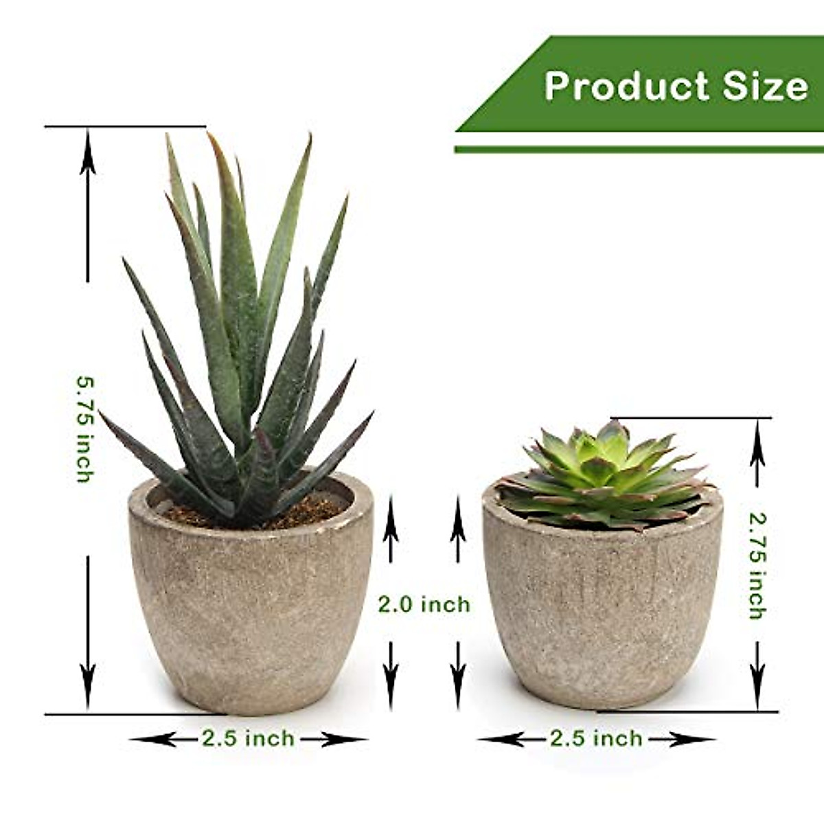 Coitak Artificial Succulent Plants Potted, Assorted Decorative Faux Succulent Potted Fake Cactus Cacti Plants with Pots, Set of 5