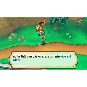 Story of Seasons - Nintendo 3DS