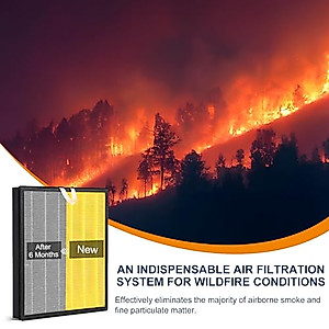 2Pack Vital 200S True HEPA Filters Replacement for LEVOIT Vital 200S Pet Allergy Air Purifier, H13 Grade Ture HEPA Filter and High-Efficiency