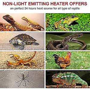 WUHOSTAM 2 Pack 100W Infrared Ceramic Heat Lamp, Black Reptile Heat Bulb No Light Emitter, Pet Heater for Aquarium and Terraium, Chicken Coop, Lizard, Turtle, Brooder, Snake, No Harm, ETL Listed