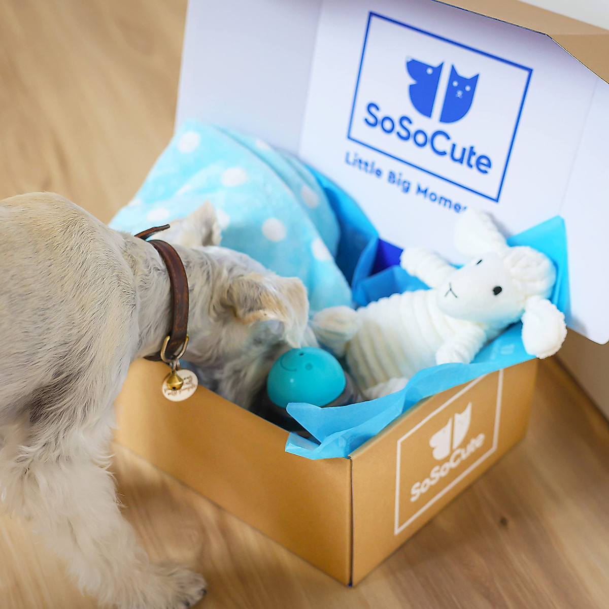 SoSoCute Blue Dog Gift Box - Puppy Chew Toy Set of 5 - Puppy Care Package with Dog Blanket, Squeaky Plush, Rubber Puppy Teether, Teething Ball, and Treat Ball for Small and Medium Dogs