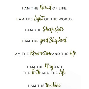 Finding I AM - Bible Study Book with Video Access: How Jesus Fully Satisfies the Cry of Your Heart