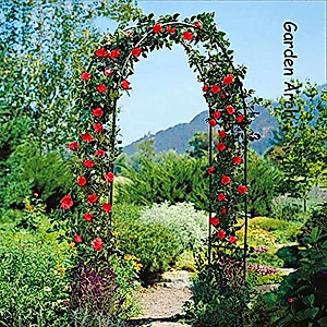 Rose Arch Arbor Trellis Heavy Duty Garden Arch Tubular Pergola Frame Metal Wedding Arch for Outdoor Garden Roses Vines (High : 2.4m, Size : 3m/9.8ft)