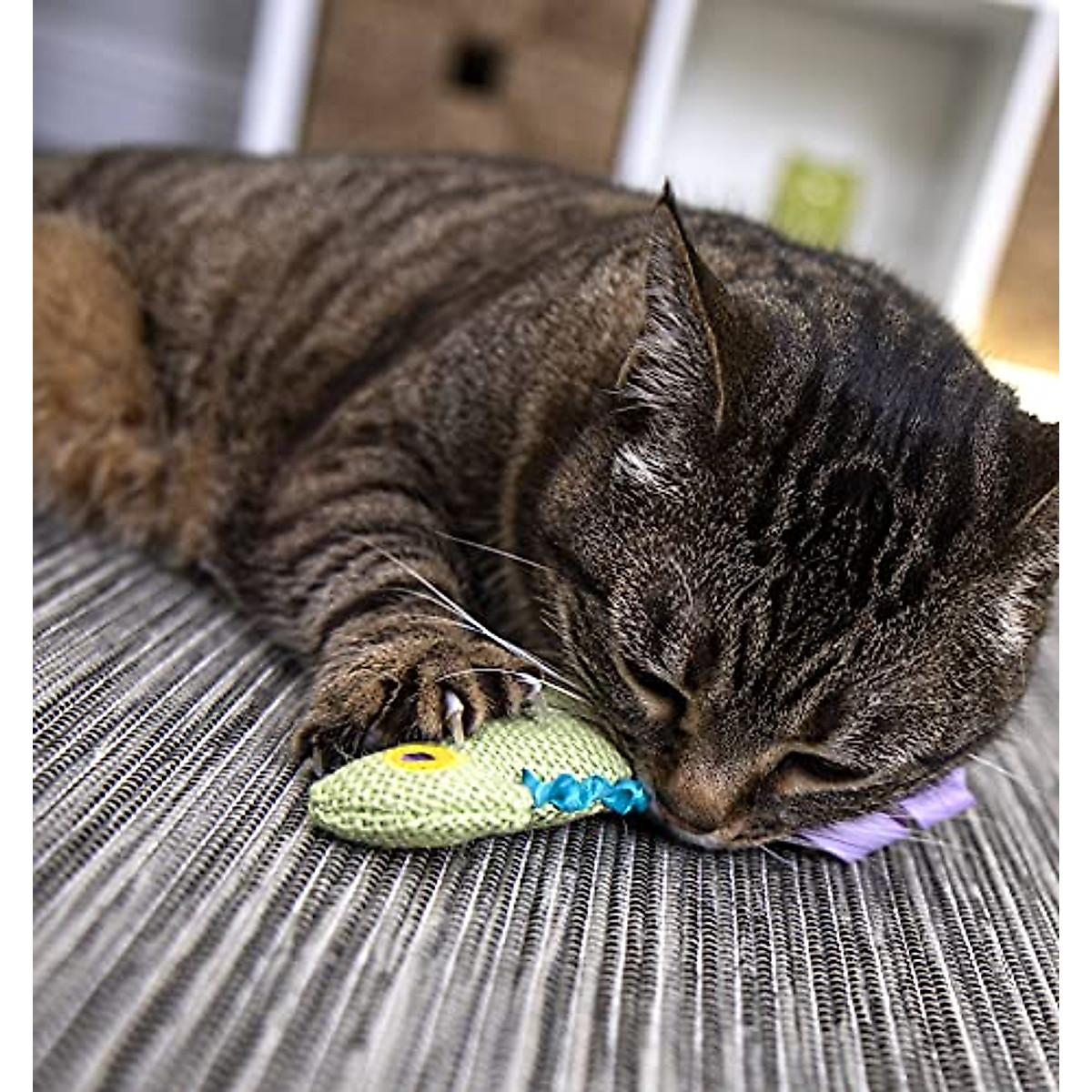 Petlinks HappyNip Crinkle Chameleon Cat Toy, Contains Silvervine & Catnip - Green, One Size