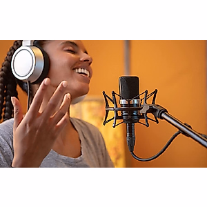 Neumann TLM 102 Black Cardioid Condenser Microphone Studio Set w/ Shock Mount MT