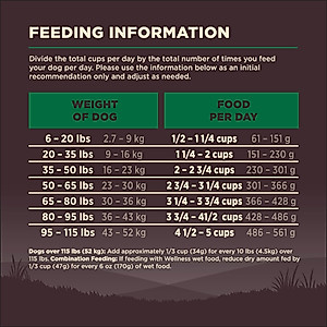 Wellness CORE Grain-Free High-Protein Dry Dog Food, Natural Ingredients, Made in USA with Real Meat, All Breeds, For Adult Dogs (Lamb, 22-Pound Bag)