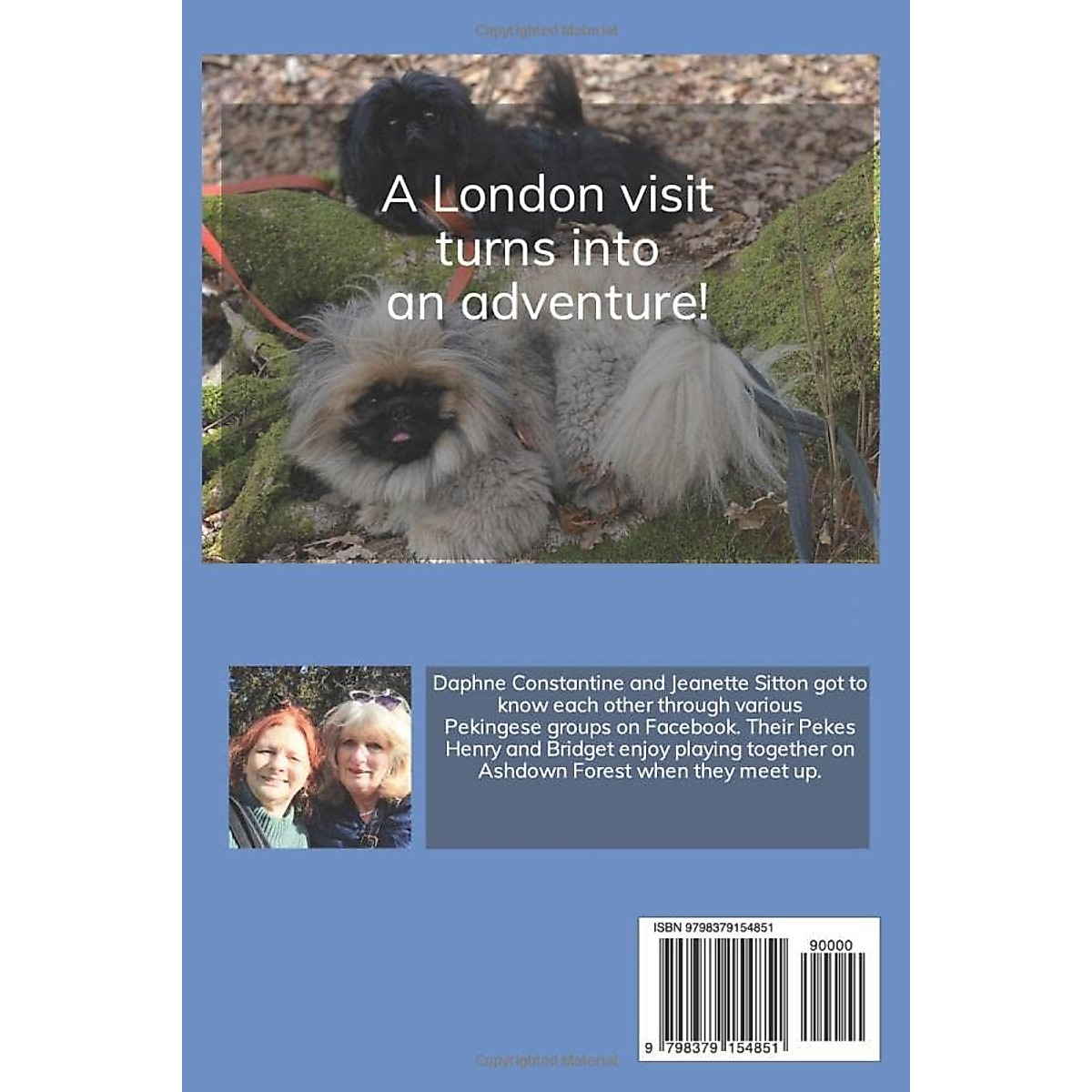 London Peke and Country Peke -Bridget and Henry Hit the Big City: Photographs by Jeanette Sitton (Pekingese stories)