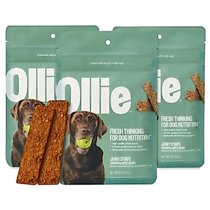 Ollie Chicken and Apple Recipe Jerky Dog Treats - Dog Jerky Treats All Natural - Healthy Dog Treats - Chicken Jerky for Dogs - Real Meat Dog Treats 15 Oz.
