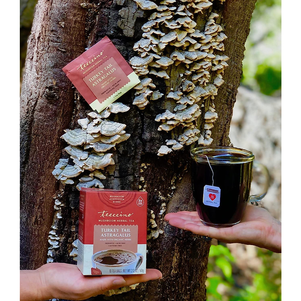 Teeccino Mushroom Herbal Tea - Turkey Tail Astragalus Toasted Maple - Caffeine Free, Prebiotic, 3x More Herbs - 25 Tea Bags