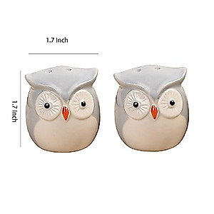 WAIT FLY Owl Shape Ceramic Salt and Pepper Shakers Home Kitchen Decoration-Gray-Set of 2