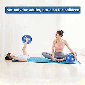 CARDALLTRY Mini Exercise Ball 9Inch Samll Bender Ball for Stability Barre Pilates Yoga Core Training and Physical Therapy Exercise Equipment for Back Inner Thigh and Balanced Body (2 Pack)