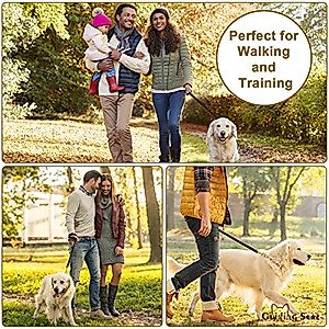 Guiding Star Black Leather Dog Leash 6ft, Soft Durable Genuine Handmade Braided Leather Dog Lead, Heavy Duty Strong Dog Training Walking Dog Leash Leather for Large & Medium Dogs