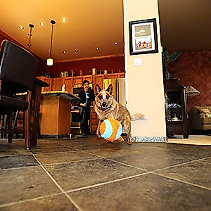 Chuckit! Indoor Fetch Ball Dog Toy (4.75 Inch), Orange and Blue