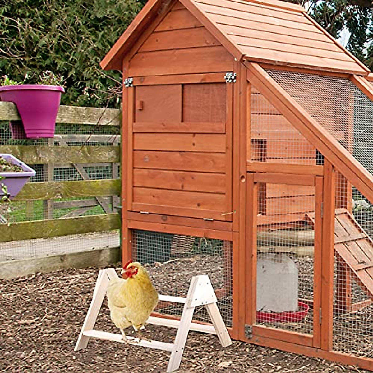 NUOBESTY Chicken Wooden Jungle, 1 Pc Birds Gym Backyard Barnyard, Chick Perch Wood Stand Chicken Cage Wood Roosting Bar Chicken Toys for Coop and Brooder for Chickens Hens Chicks |43X34X25.5CM