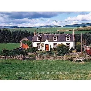 Mellis Scottish Blossom Honey, 12- Ounce Jar