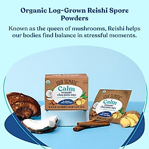 Chai Latte by Four Sigmatic | Organic Instant Chai Latte with Turkey Tail, Reishi Mushrooms & Coconut Milk Powder | Supports Gut & Digestion Health | Decaf, No Dairy & Gluten-Free | 10 Count