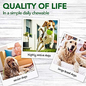 Vet's Best Advanced Hip & Joint Dog Supplements, 90 Chewable Tablets