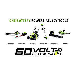 GreenWorks Pro 60-Volt Max 2.5-Amp Hours Rechargeable Lithium Ion (Li-ion) Cordless Power Equipment Battery