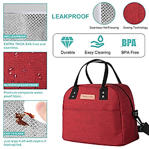 havatree Insulated Lunch Bag Women - Reusable Lunch Box for Work Picnic Beach Outdoor Sports - Leakproof Cooler Bento Box Freezable Lunchbox with Adjustable Shoulder Strap