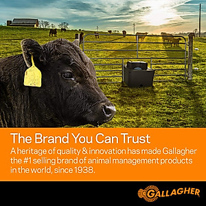 Gallagher S6 Solar Electric Fence Charger | Protect Your Backyard and Pets | Solar Lithium Technology, 0.06 Stored Joule Energizer | Unique Post Mounting System | Portable and Super Tough
