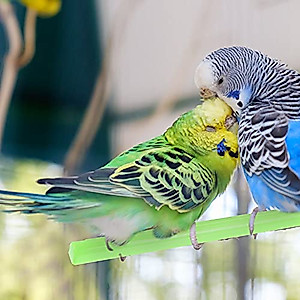 Mikikit Parrot Perch Stand Bird Cage Platform Stand: ing Rods Plastic Parrot Cage Standing Bird Cage Accessories Platform Plastic Stick Playground for Small Medium Birds- 10 Pcs