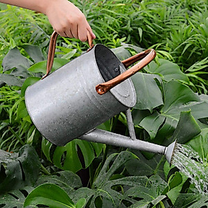 yourjoy Metal Watering Can, One Gallon Watering Cans Stainless Steel for Outdoor Indoor Garden Plants Watering (Zinc 1 Gallon)