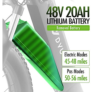 DYU Electric Bike for Adult Up to 80 Miles Long Range Mountain E-Bike, 750W 26" Fat Tire Electric Bicycle with Removable 48V 20Ah Battery, 7-Speed Dual Shock Absorber, 28mph Snow Bike