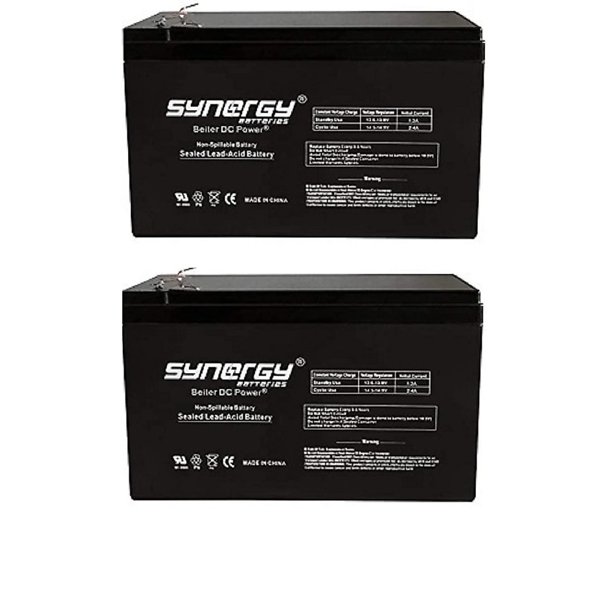 Beiter DC Power High Performance Rechargeable 24 Volt (2 12V Batteries) Battery Pack for The Razor E300 & Razor E325, W15130640003, W13112430003, W13112430185, W15130412003