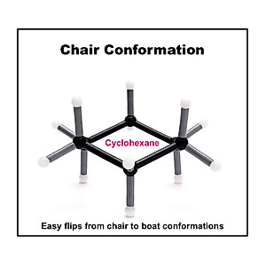 Organic Chemistry Molecular Model Set (140 Pieces)