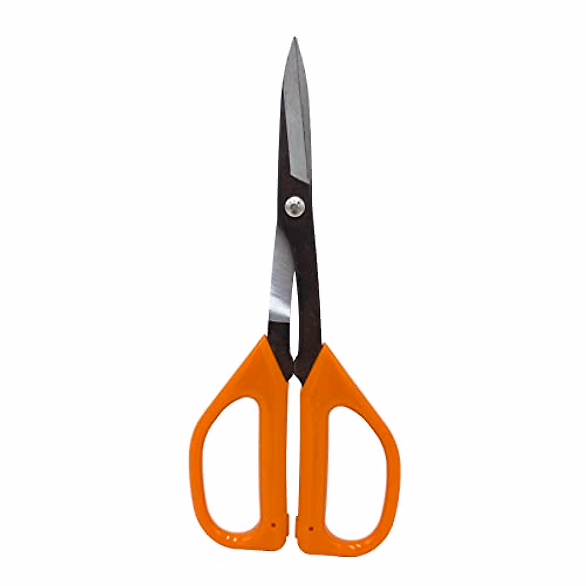 Zenport ZS106 Scissors for Bonsai and Floral Pruning, 8.3-Inch, Box of 10 Orange ZS106-10PK