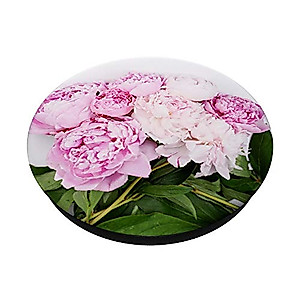 Pink Peony Peonies Flowers Floral Garden Botanical PopSockets Swappable PopGrip