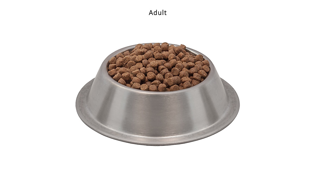Wysong Adult Canine Formula - Premium Dog Food 5 lb