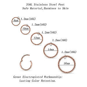 Xnsjeyy 16G Stainless Steel Nose Rings Hoops Hinged Clicker Septum Ring Lip Ring Cartilage Tragus Earrings Body Piercing Jewelry for Women Rose Gold
