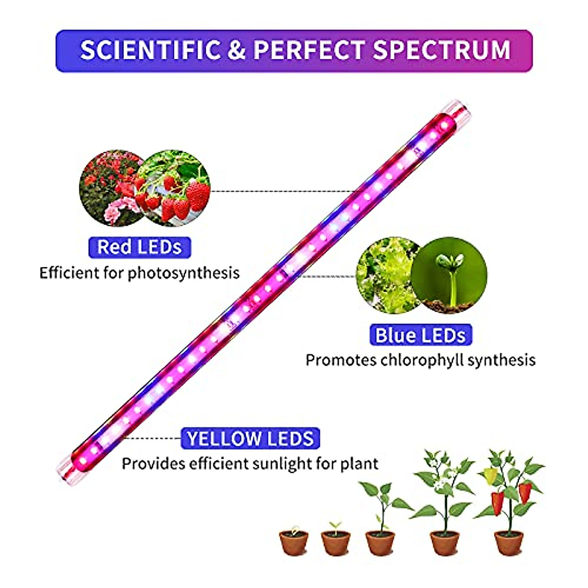 LED Plant Grow Light Strips, Full Spectrum Red Blue Plant Grow Lights for Indoor Plants with Auto 3H/6H/12H Timer, 4 Dimmable Levels Sunlike Growing Lamp for Hydroponics Succulent, 6 Strips