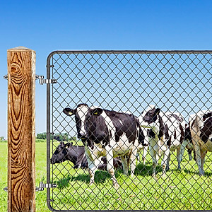 Insaga M12x 10'' J-Bolt Gate Hinge, 304 Stainless Steel Farm Gate Hinge, 4pcs J-Bolt Post Hinge with 5/8" Male Pin for Chain Link Fence Gate