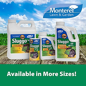 Monterey - Sluggo - Wildlife and Pet Friendly Snail & Slug Killer, OMRI Listed for Organic Gardening - 5-Pounds, OSP6530