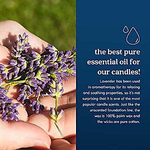 Paraffin-Free Scented Candle, Tin Candles, Birthday Gifts for Women & Men, 30-Hour Burn Time (Lavender, 6 oz)
