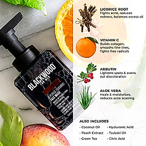 Blackwood For Men X-Punge Foaming Face Wash - Organic & Natural Acne Facial Cleanser For Oily to Normal Skin - Deep Cleanse for Exfoliation - Paraben Free, Sulfate Free, & Cruelty Free (7.32 oz)