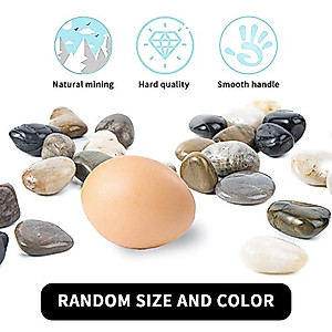 OUPENG Pebbles Polished Gravel, Natural Polished Mixed Color Stones, Small Decorative River Rock Stones 5 Pounds (80-Oz)