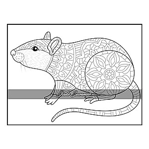 100 Animals: An Adult Coloring Book with Lions, Elephants, Owls, Horses, Dogs, Cats, and Many More!