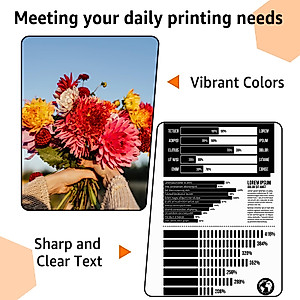 NineLeaf 6 Pack Remanufactured Ink Cartridge Replacement for HP 62XL 62 XL use in Envy 5540 5640 5660 7644 7645 OfficeJet 5740 8040 OfficeJet 200 250 Series Inkjet Printer（3 Black 3 Tri-Color