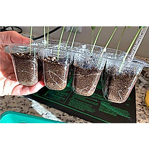 UWIOFF Seed Starter Tray, 10-Pack 120 Cells Seedling Starter Trays, Humidity Adjustable Seed Tray Kit with Dome and Base Greenhouse Grow Trays Mini Propagator for Seeds Growing Starting